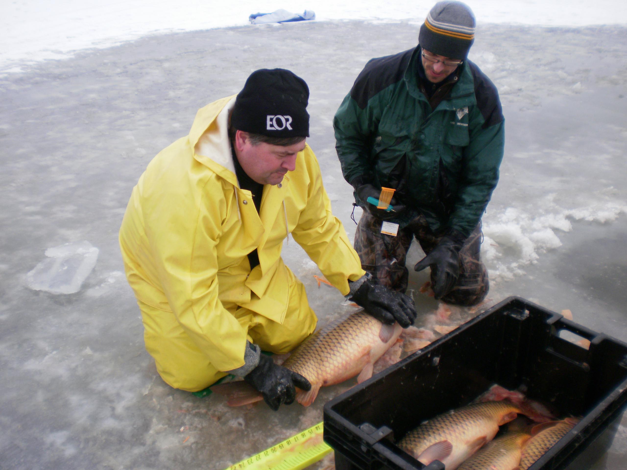 Invasive Species Mgmt.