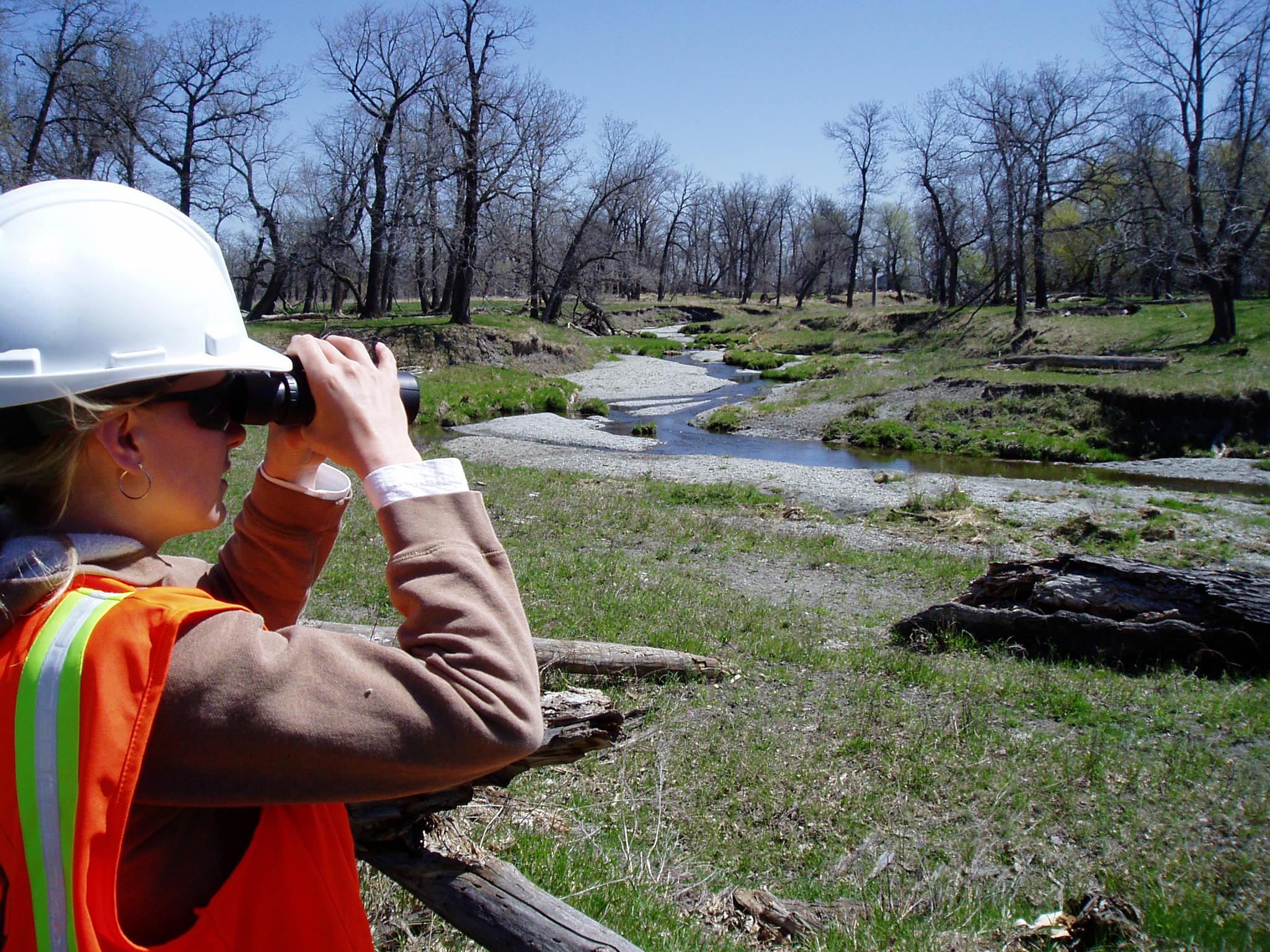 Bird Nest Survey for Utility