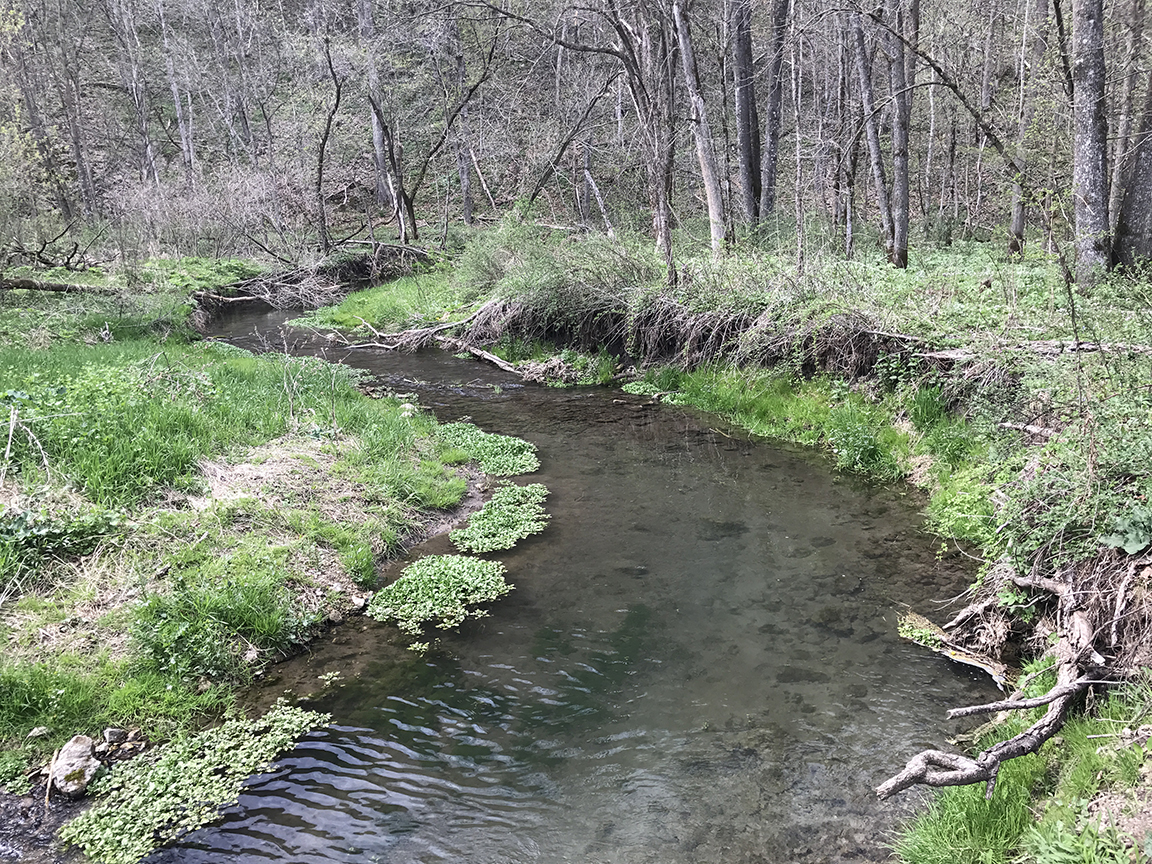 Drone Documentation of Trout Stream Restoration