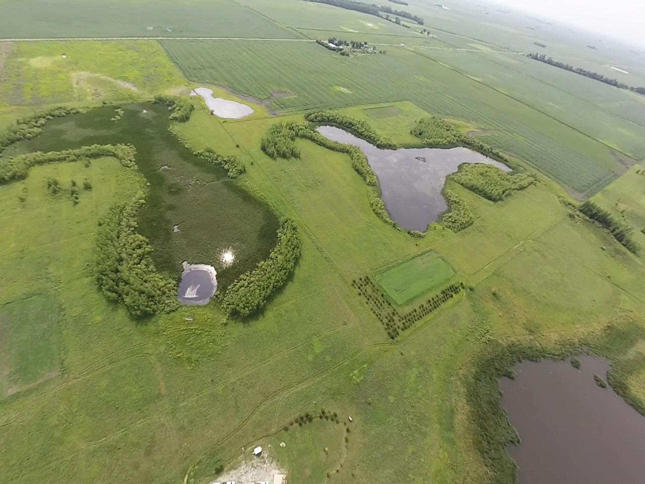 Wetland Mitigation Bank Wetland Mitigation Bank
