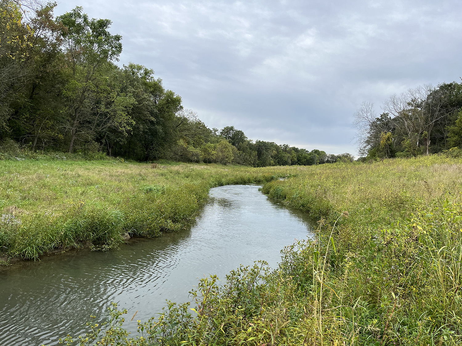Trout Stream Restoration