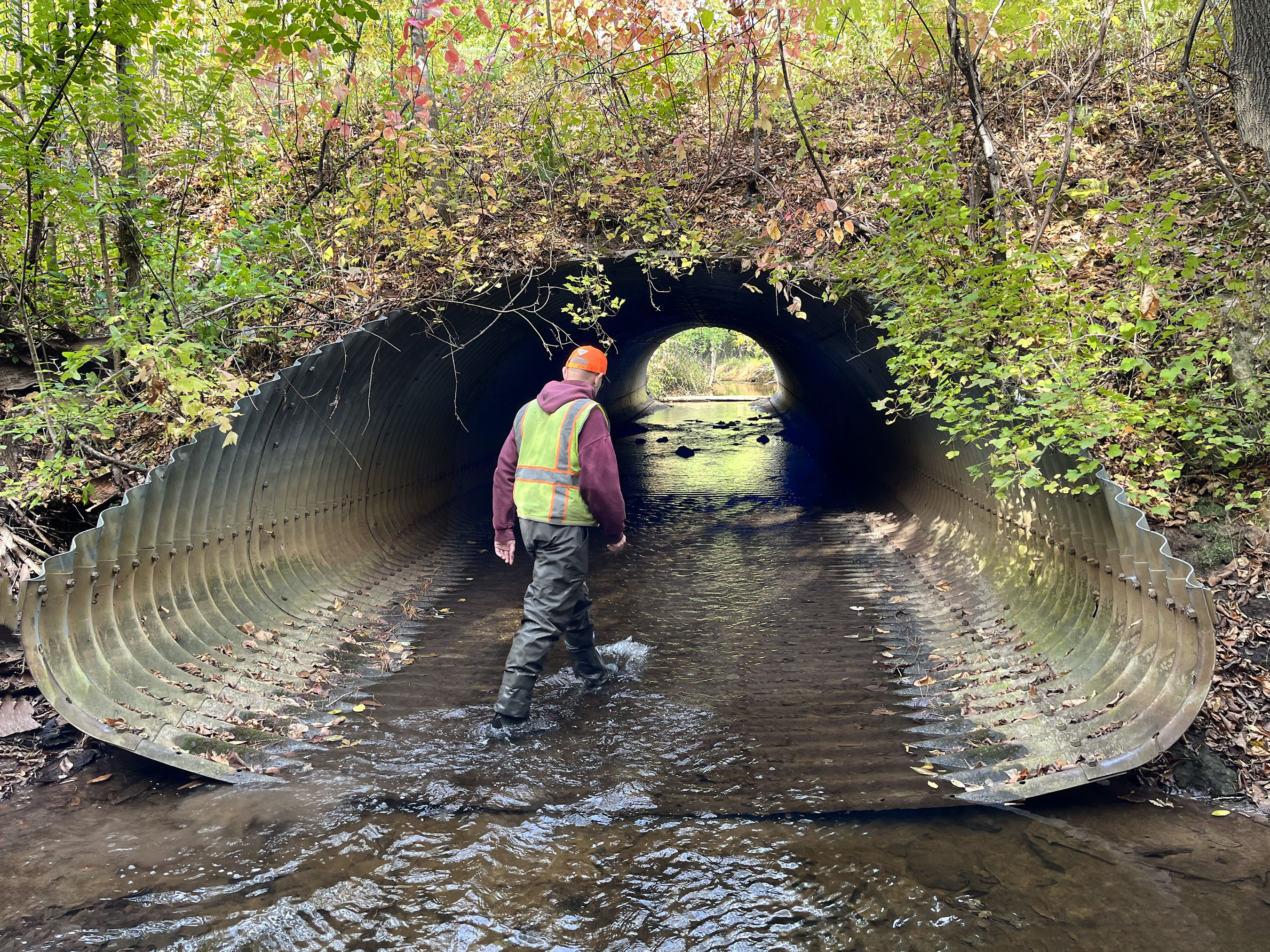 Promoting Fish Passage